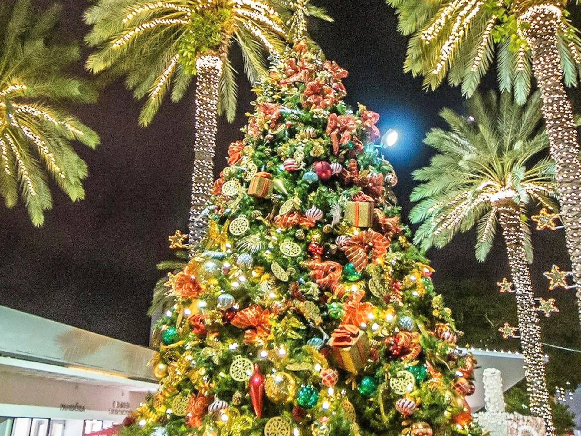 Where to see the most spectacular Christmas lights in Miami