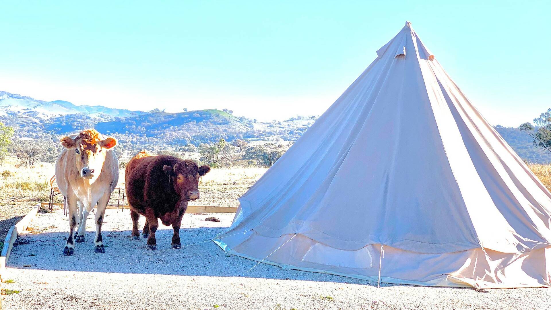 Book your stay at this luxury glamping farm stay close to Mudgee