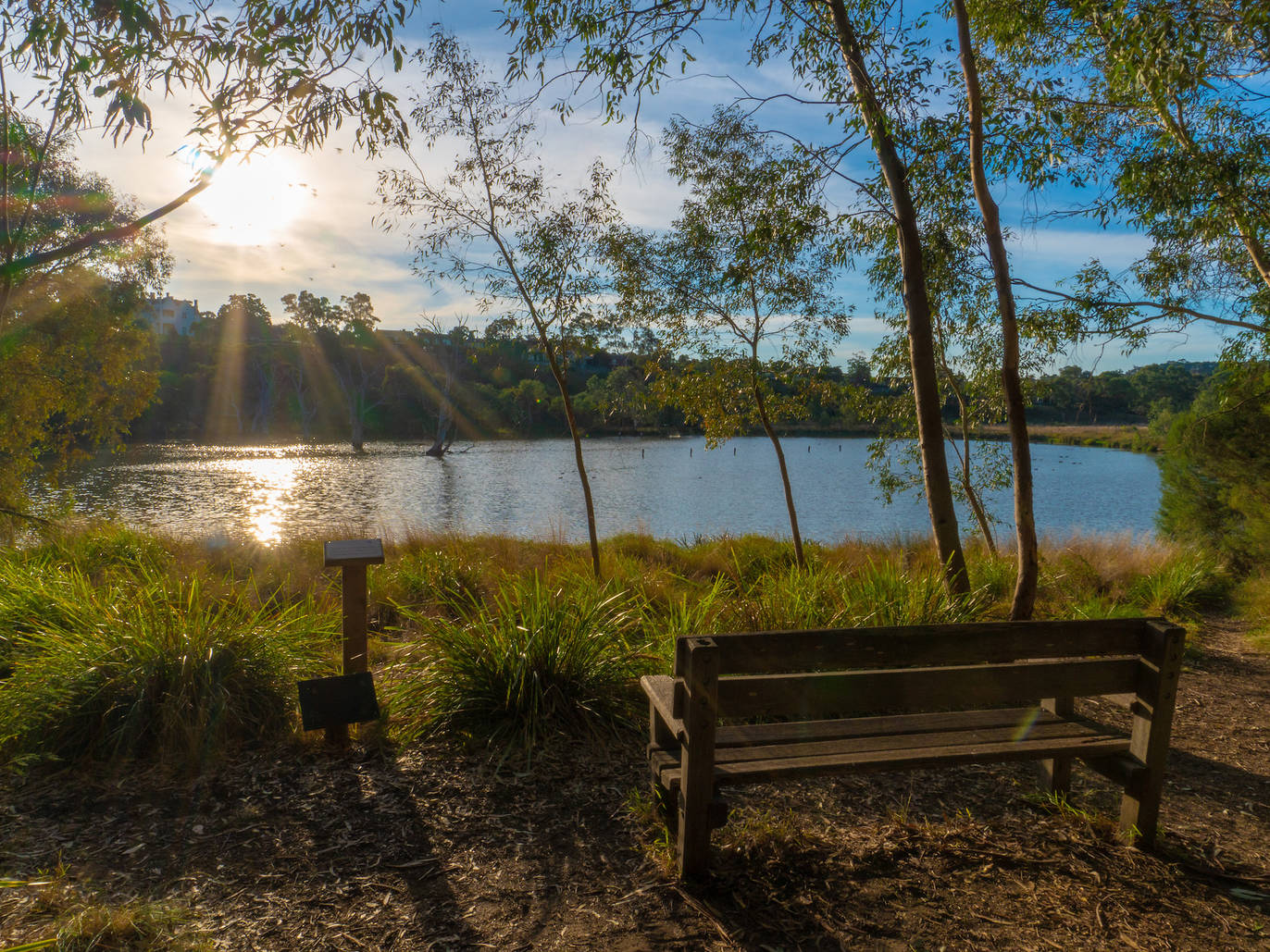 A local's guide to Heidelberg | Heidelberg area guide