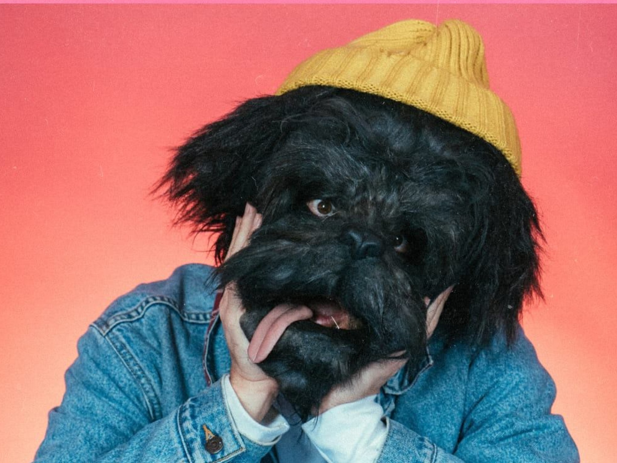 5 imperdibles del Festival Marvin 2020