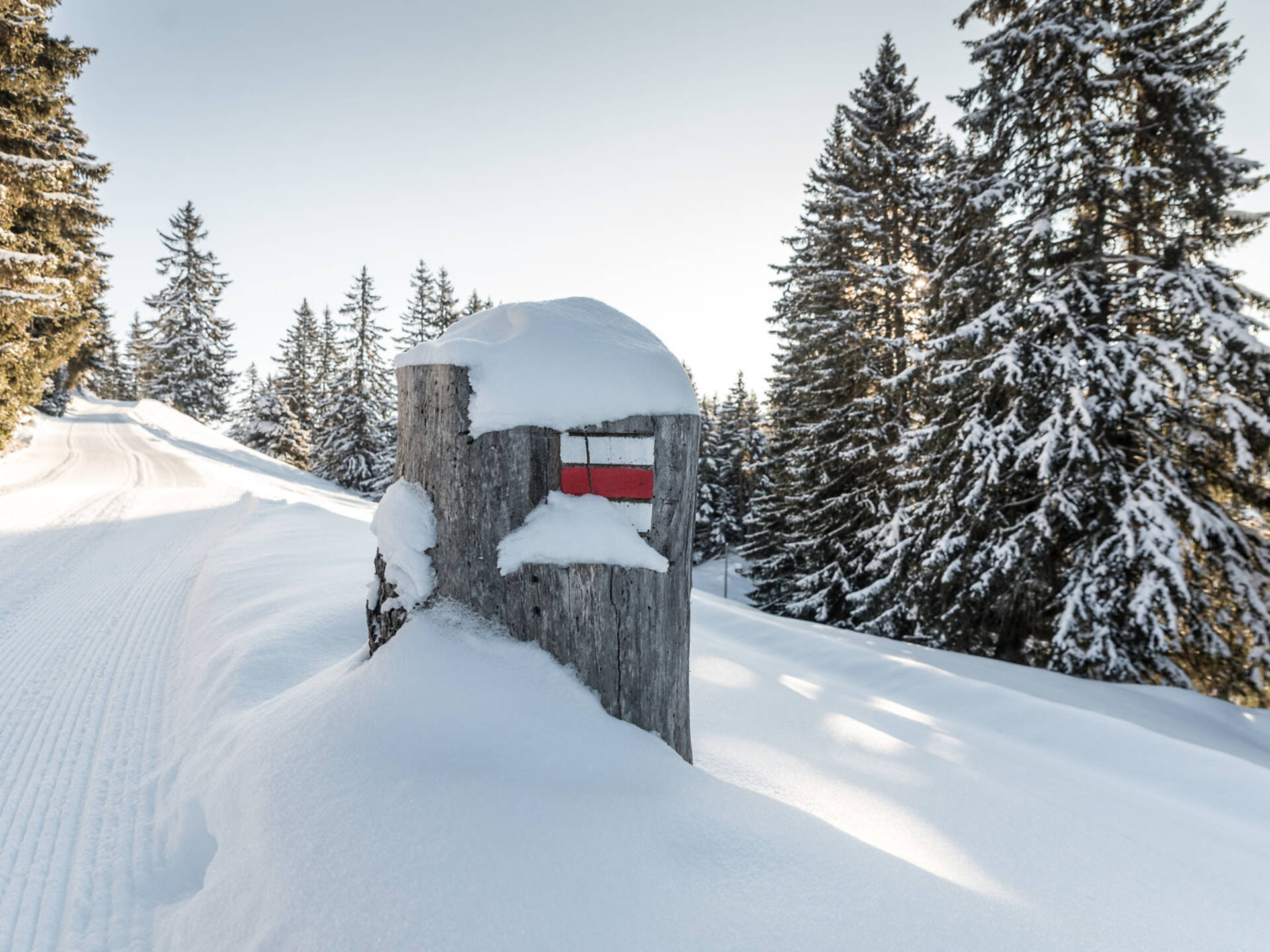 10 great winter experiences in Gstaad
