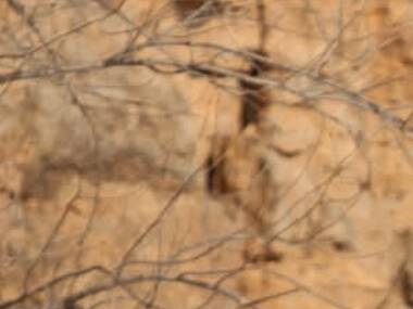 17 Best Ski and Snowboard Resorts Near Chicago To Visit This Winter