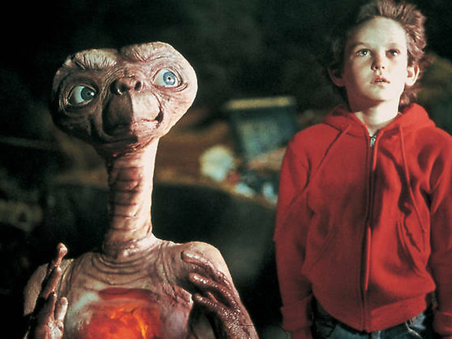 Best Family Movies To Delight The Kids And The Grown-Ups