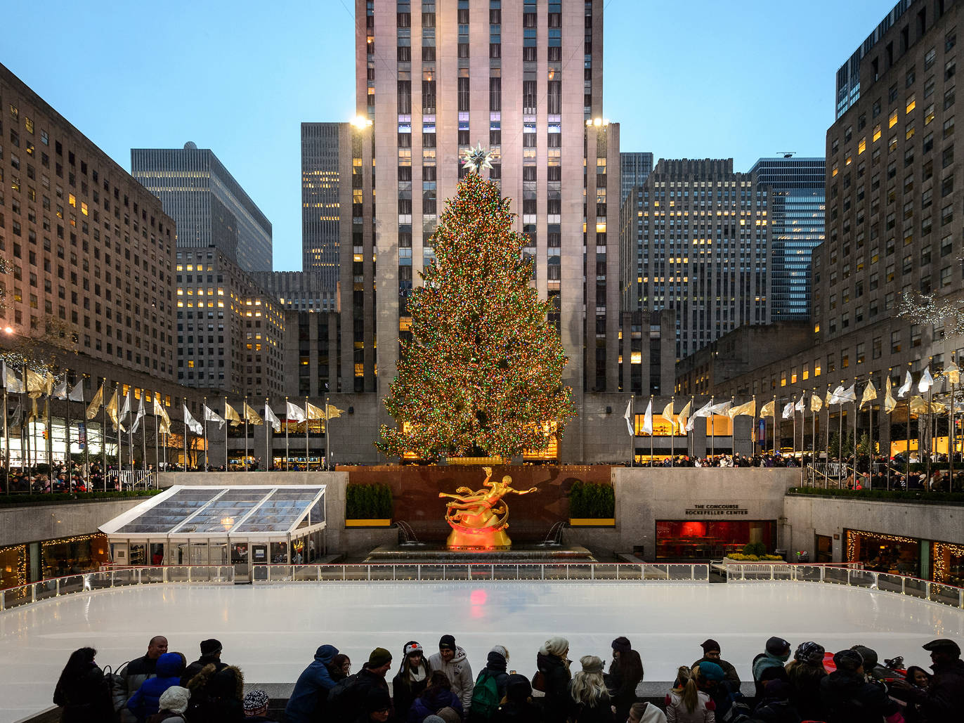10 Best Places to Go Ice Skating in NYC This Year