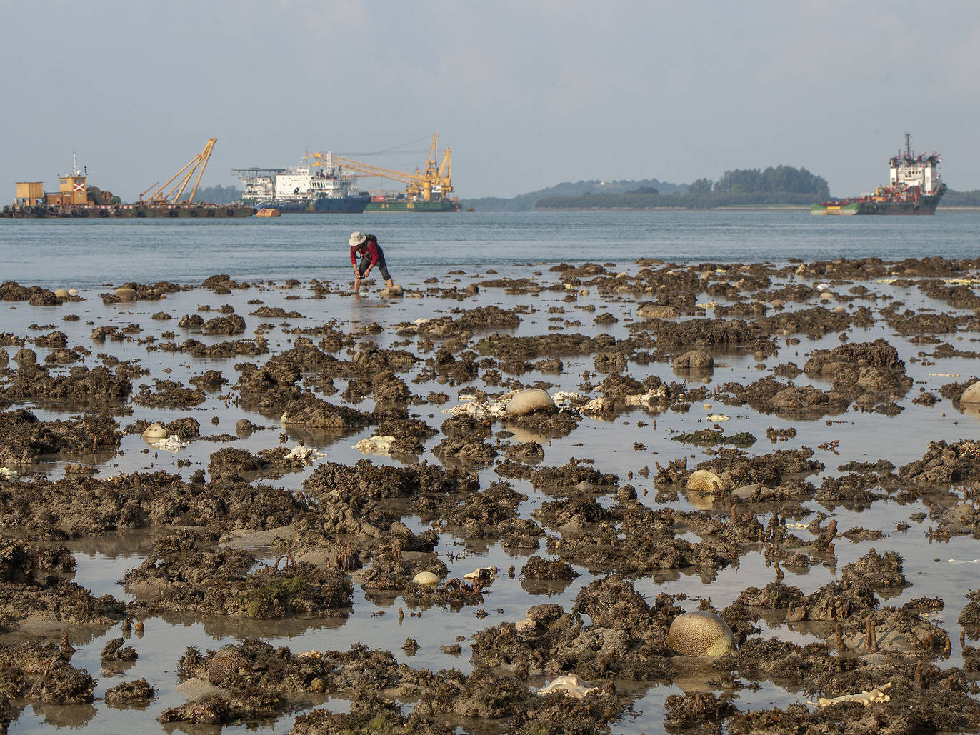 6 Offshore Islands In Singapore To Escape From The City 6-offshore-islands-in-singapore-to-escape-from-the-city