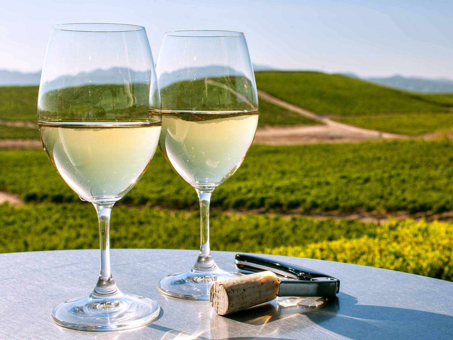 These are the 12 best wine vacations in the U.S. for a crush-worthy ...
