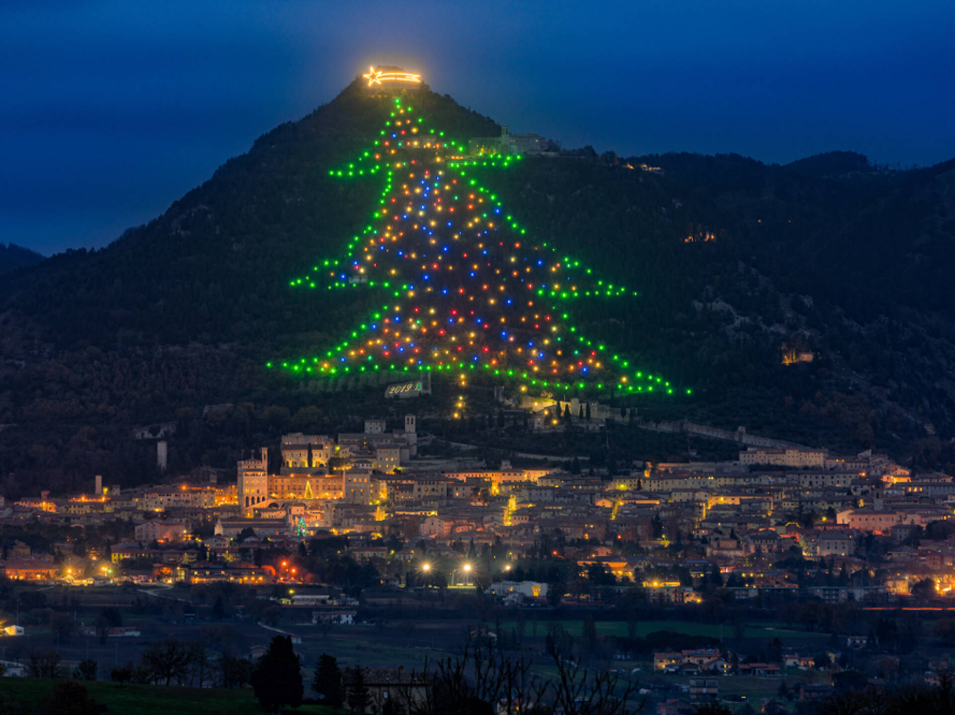 11 Most Beautiful and Iconic Christmas Trees in the World