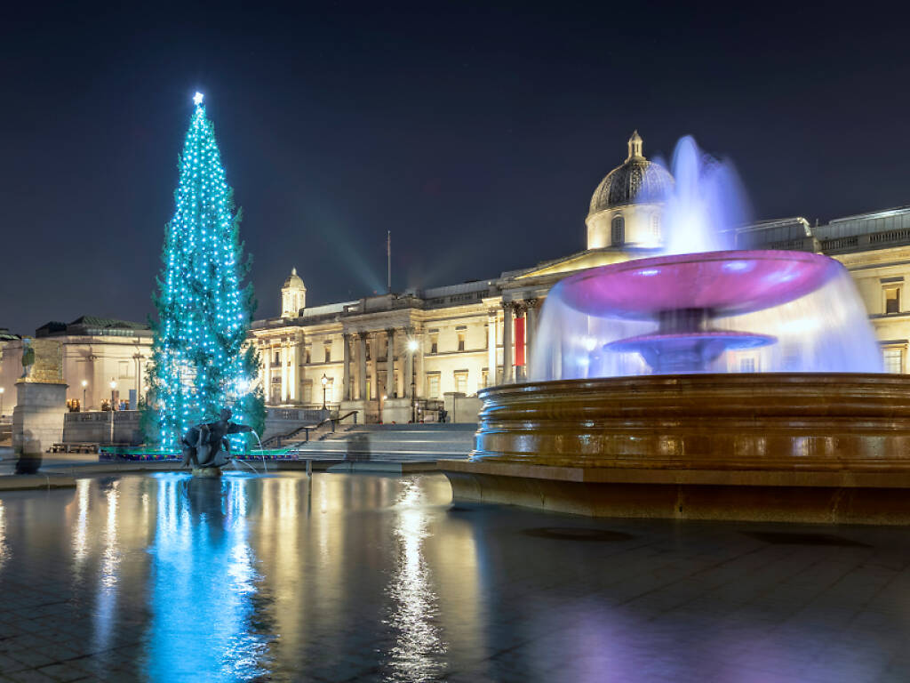 11 Most Beautiful and Iconic Christmas Trees in the World
