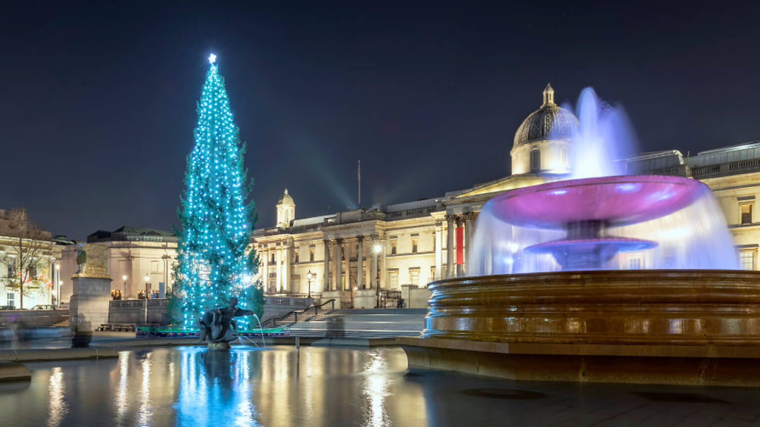 11 Most Beautiful and Iconic Christmas Trees in the World