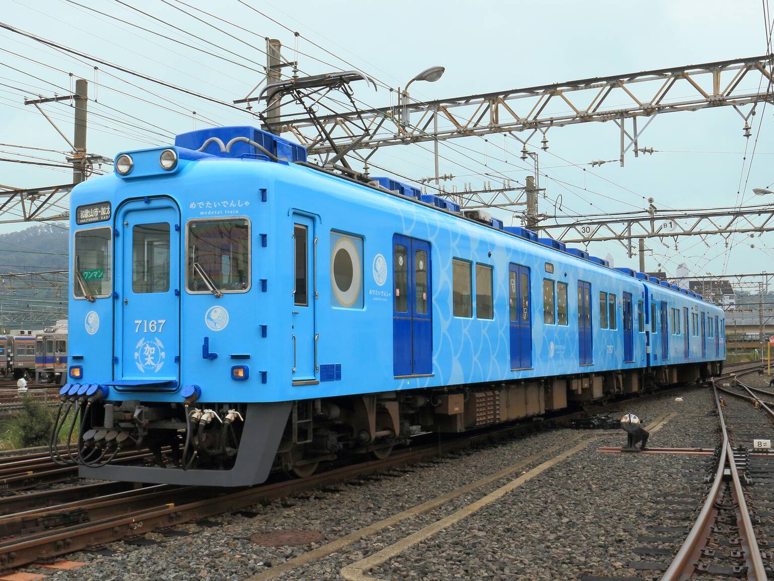Hop on these 8 amazing novelty trains in Japan