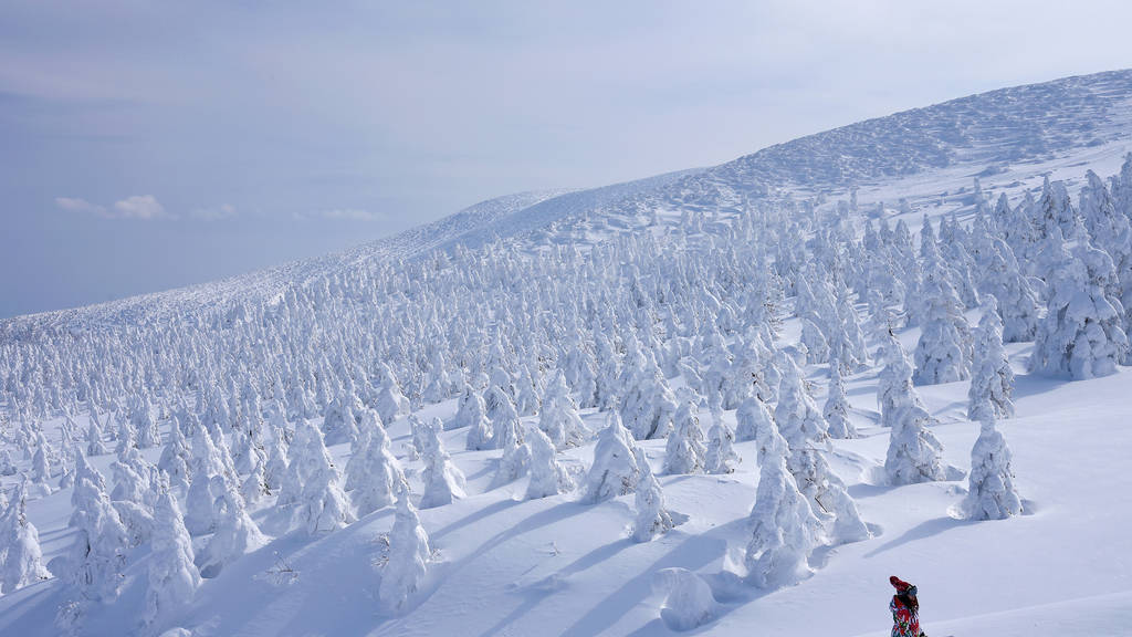 Most beautiful winter destinations in Japan | Time Out Tokyo