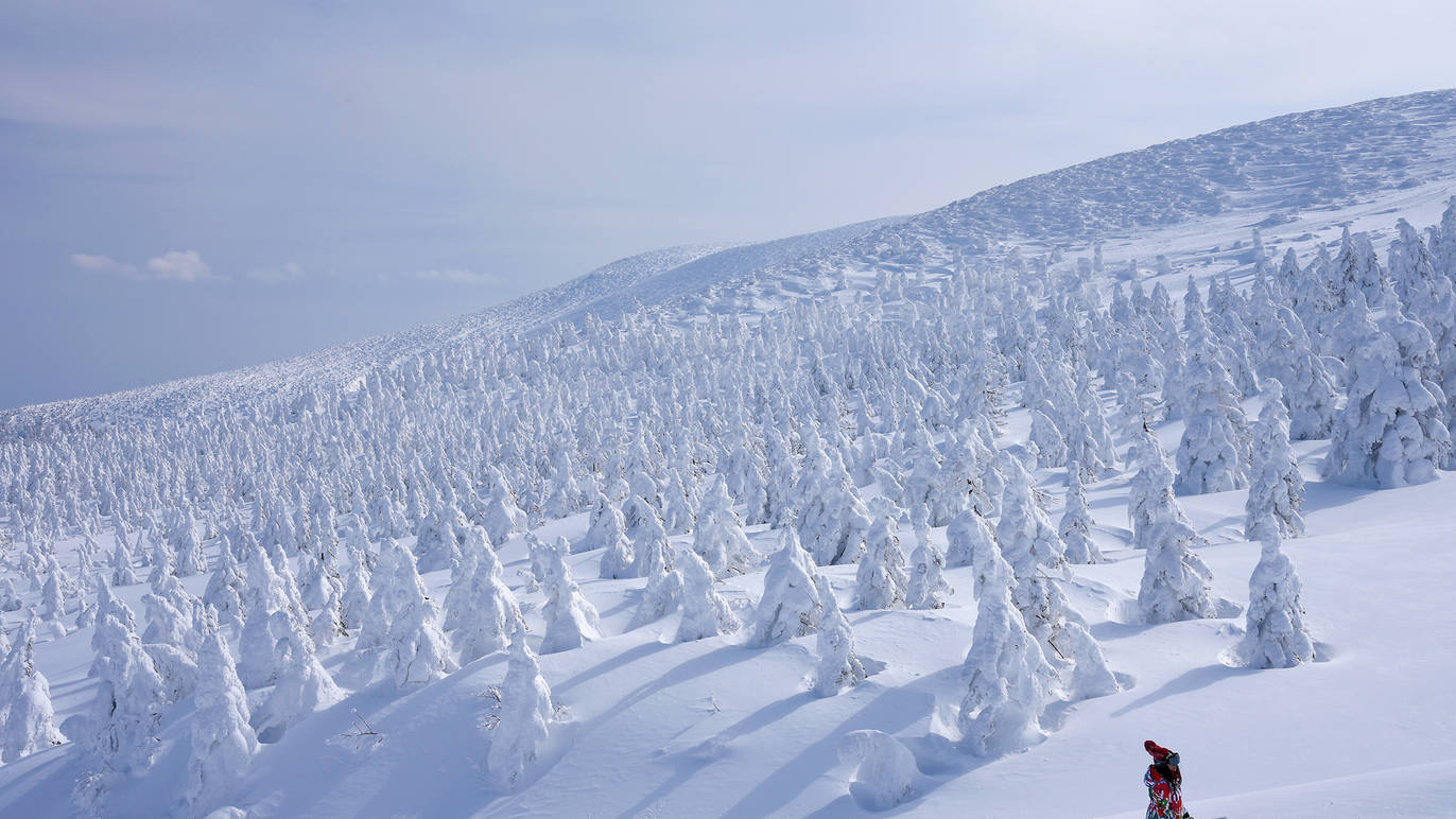 Most beautiful winter destinations in Japan | Time Out Tokyo