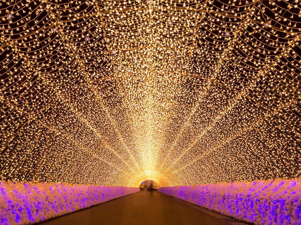 8 best illuminations and light displays in Japan