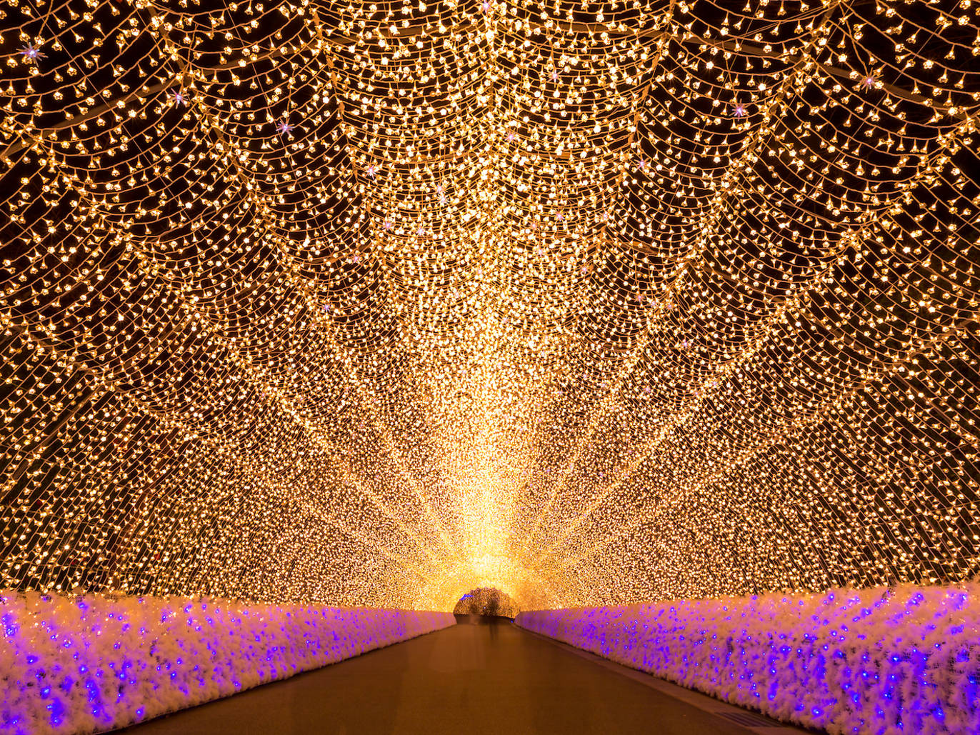 8 best illuminations and light displays in Japan
