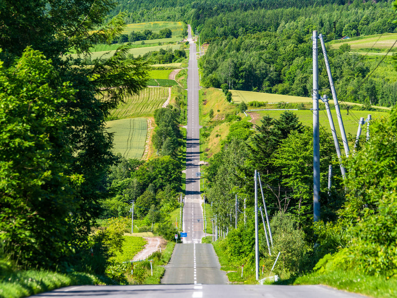 6 best road trips in Japan: from the Japanese Alps to Hokkaido farmland