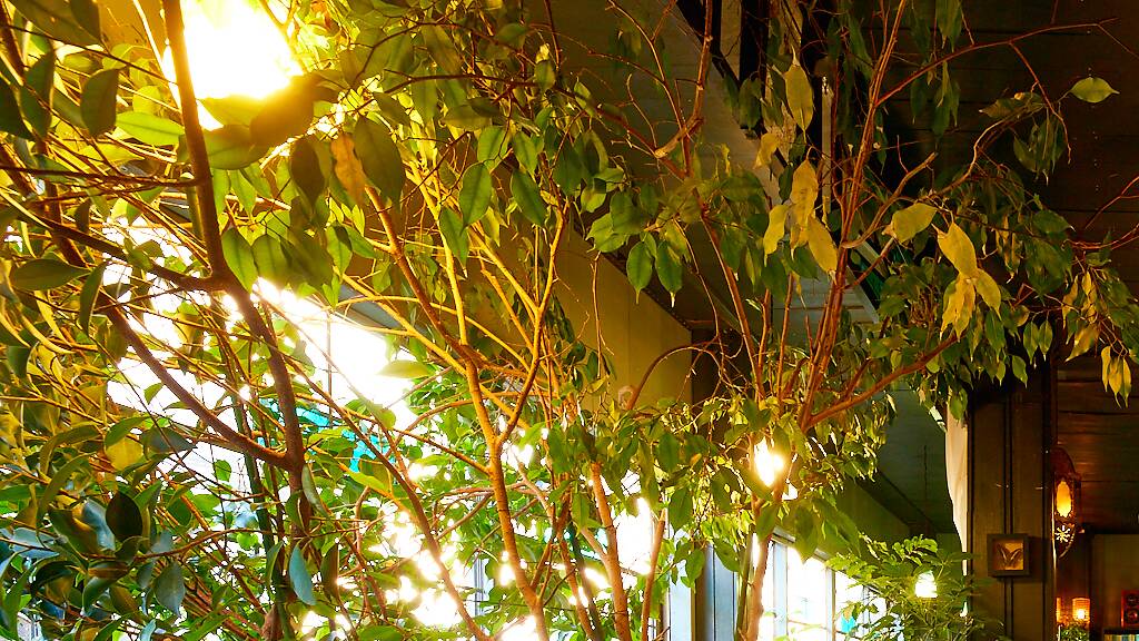 Reading Café R-za Dokushokan | Restaurants in Koenji, Tokyo