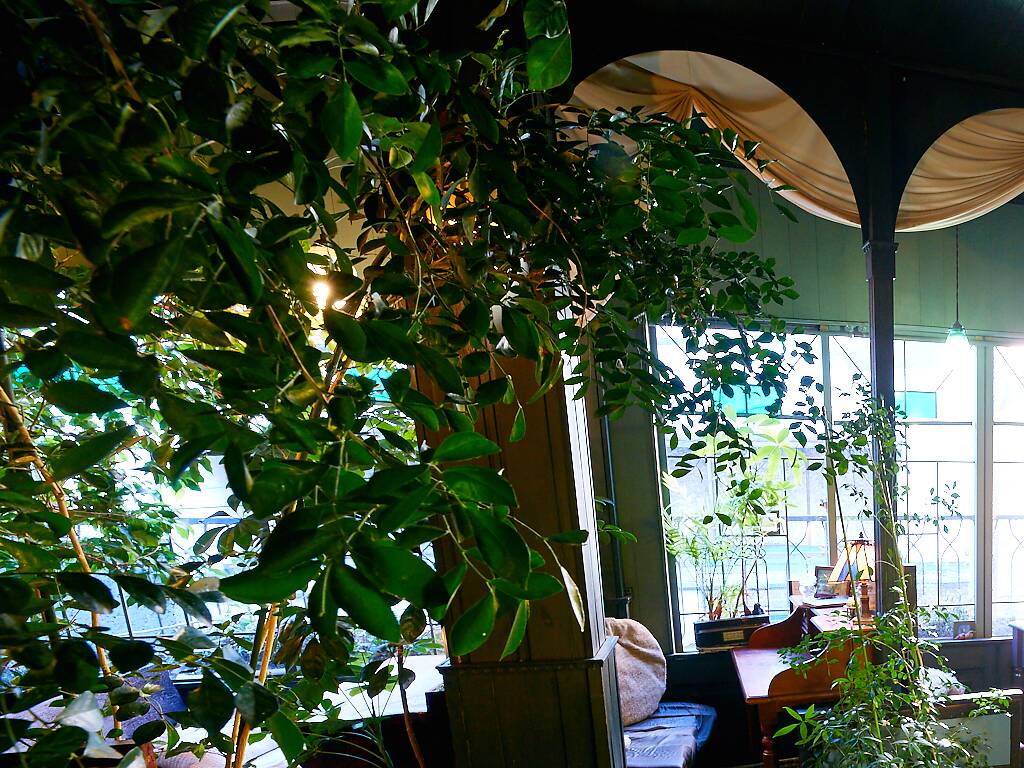東京、植物カフェ5選