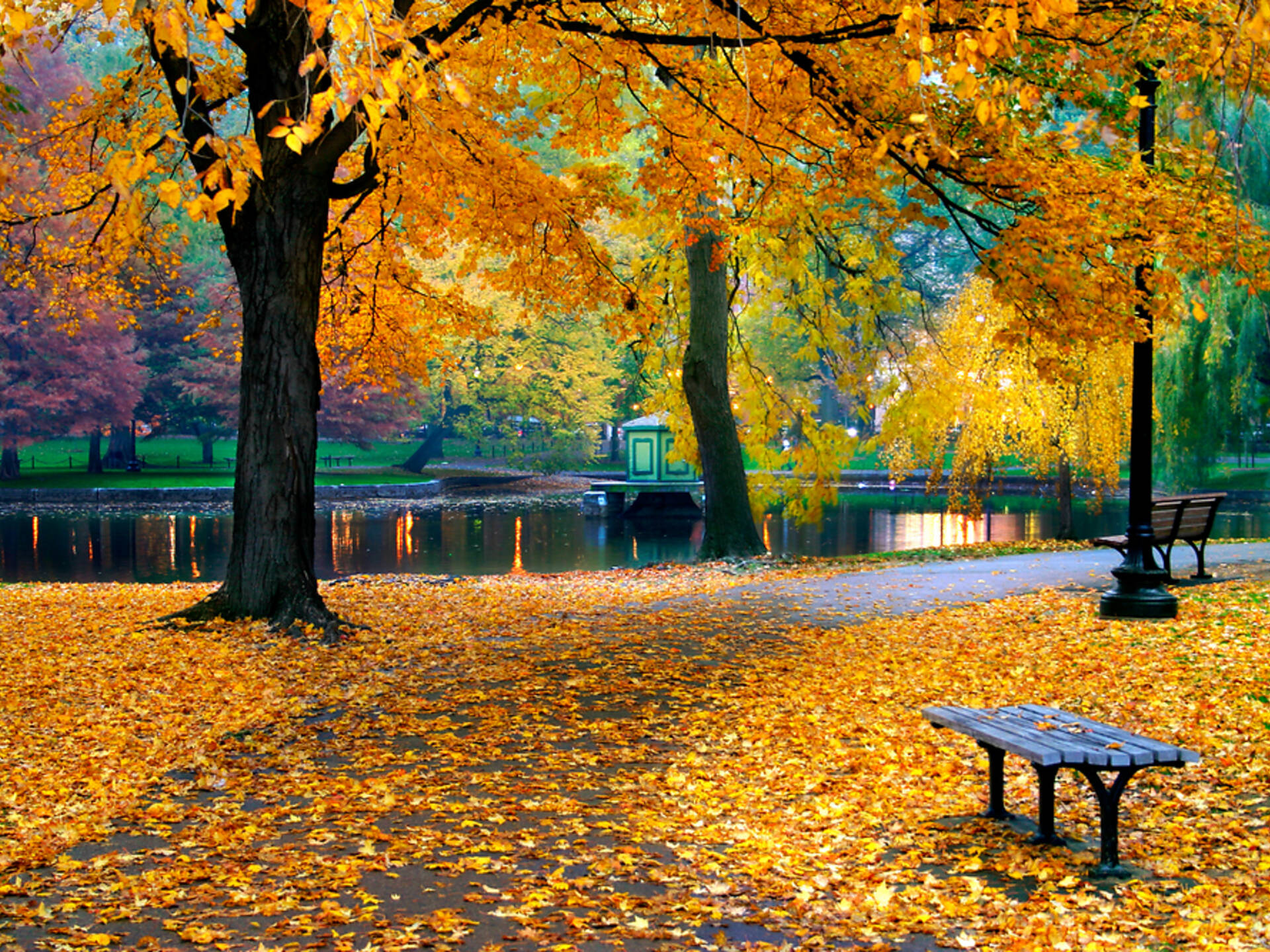 The Best Parks in Boston: 11 Green Spaces Perfect for Touching Grass