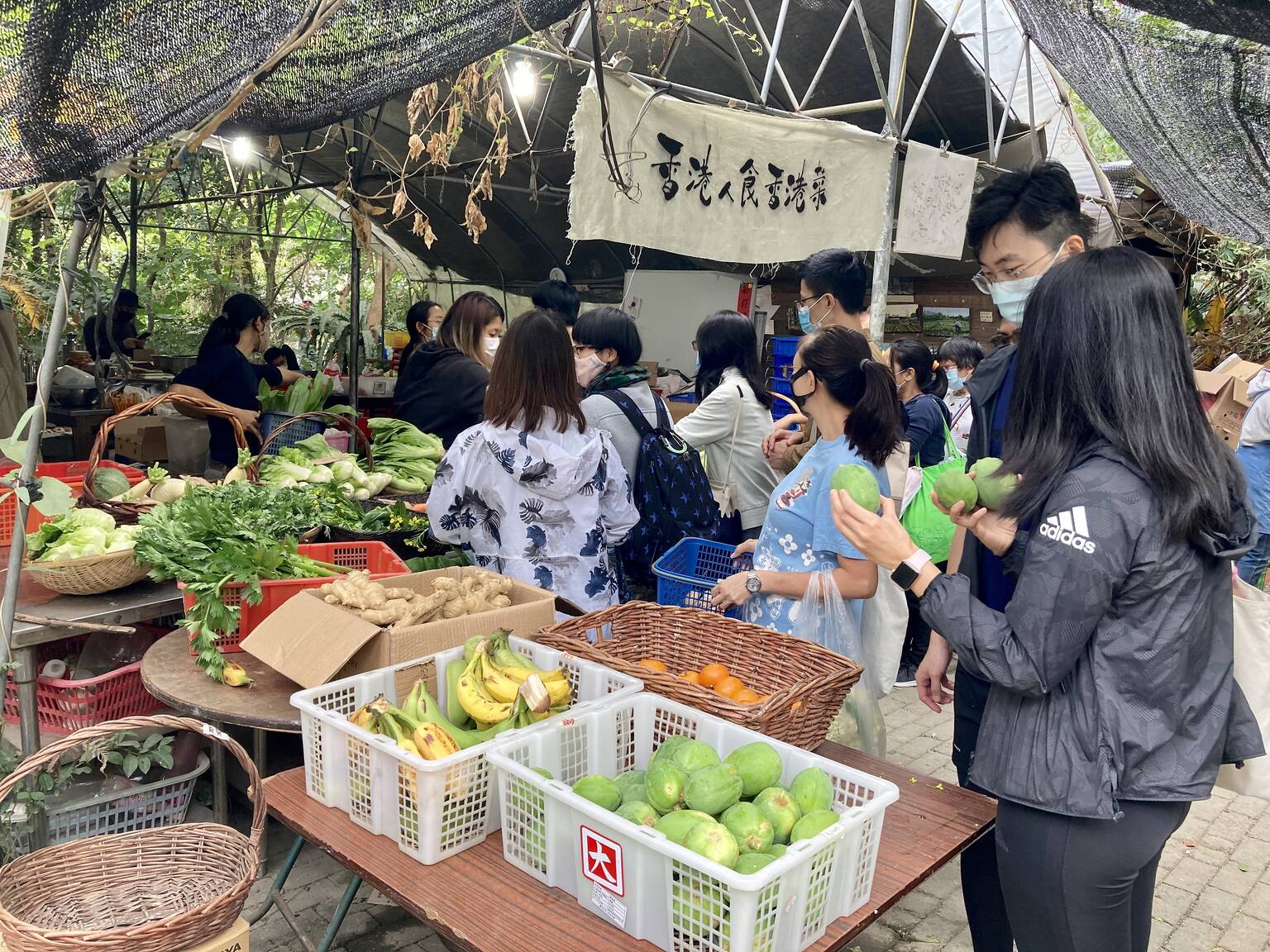 6 best local farms in Hong Kong for peace and quiet