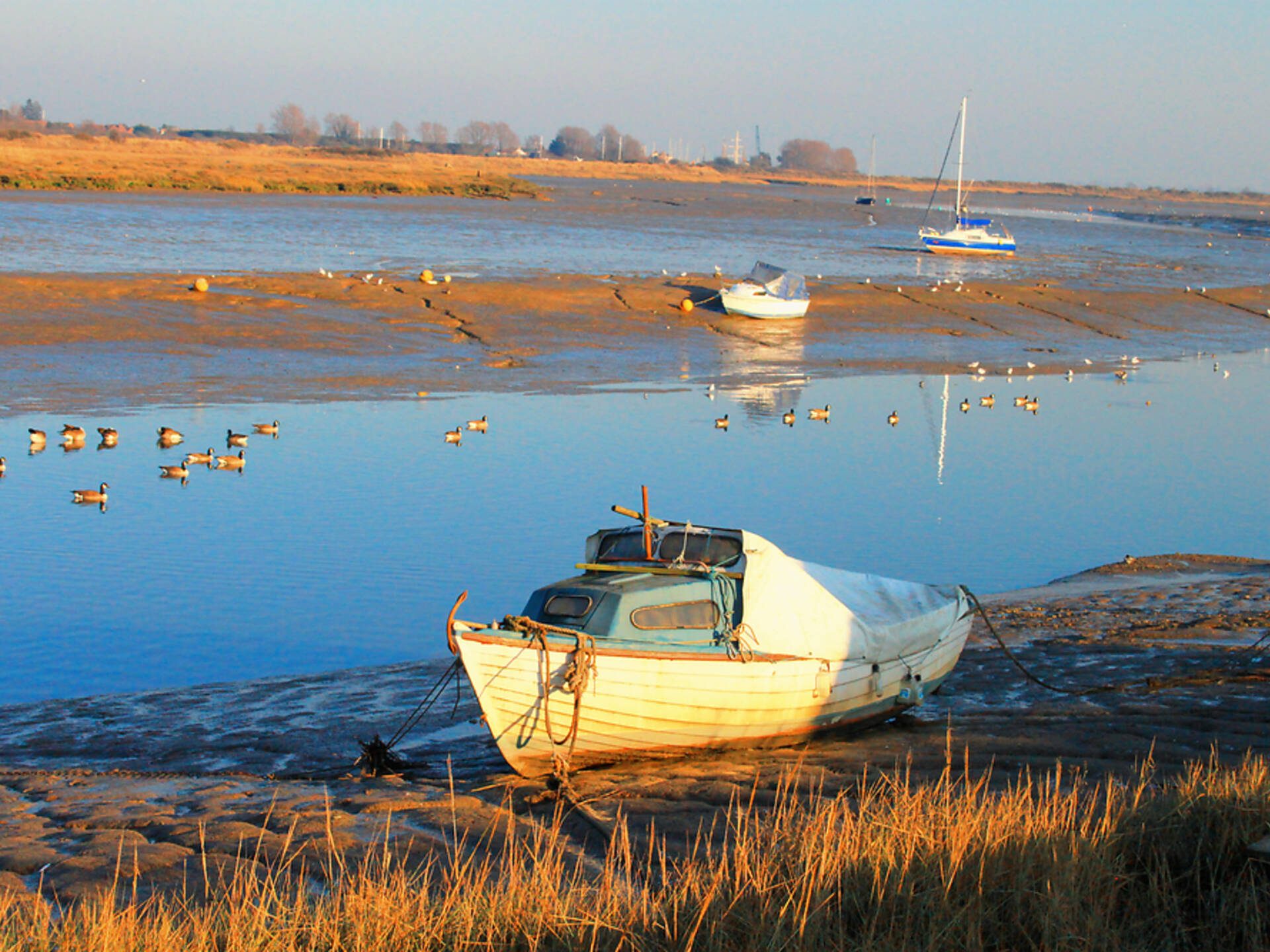 Whitstable 2025 | Ultimate Guide To Where To Go, Eat & Sleep in ...