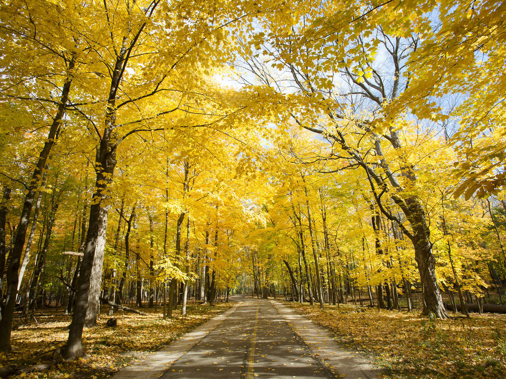 26 Best Places for Hiking Near Chicago in 2024