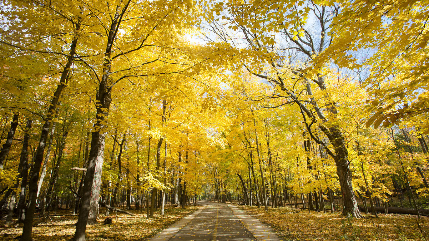 26 Best Places for Hiking Near Chicago in 2026