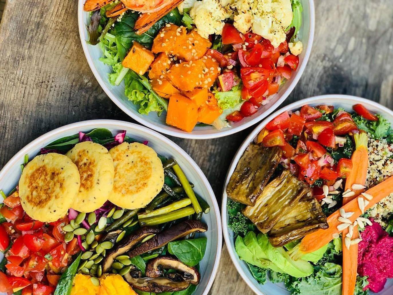 Ultimate Guide to Health and Wellness