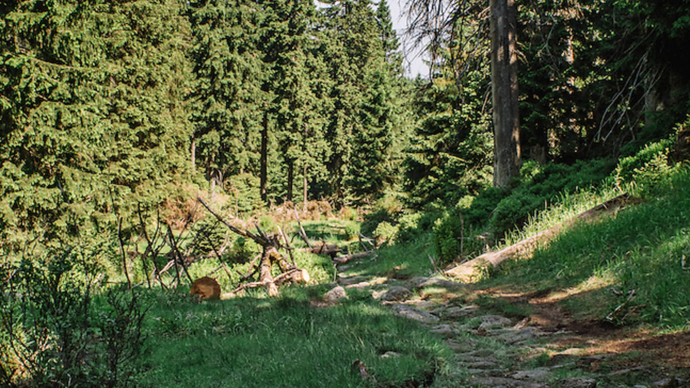 9 of the Most Breathtaking Hikes in Europe