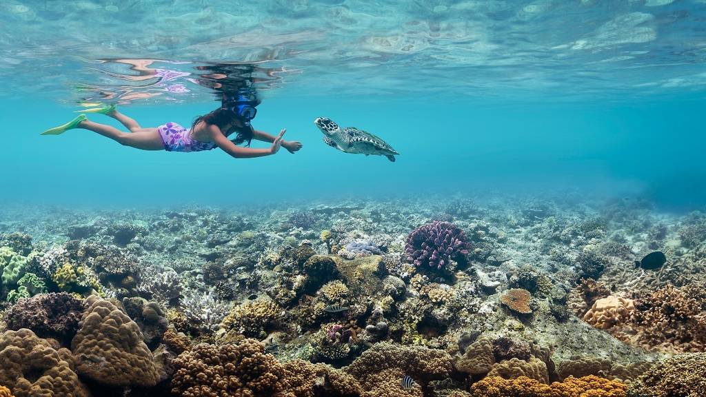 Five natural wonders you must-see in Fiji