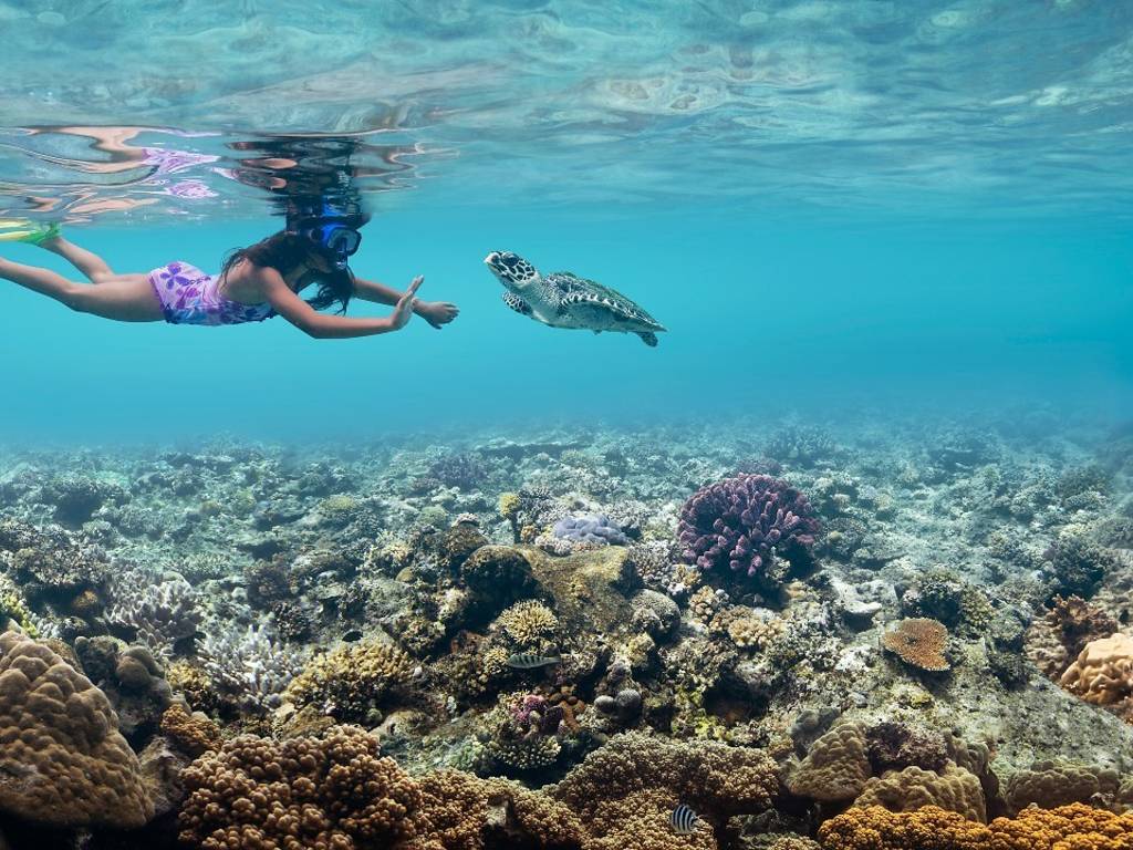 Five natural wonders you must-see in Fiji