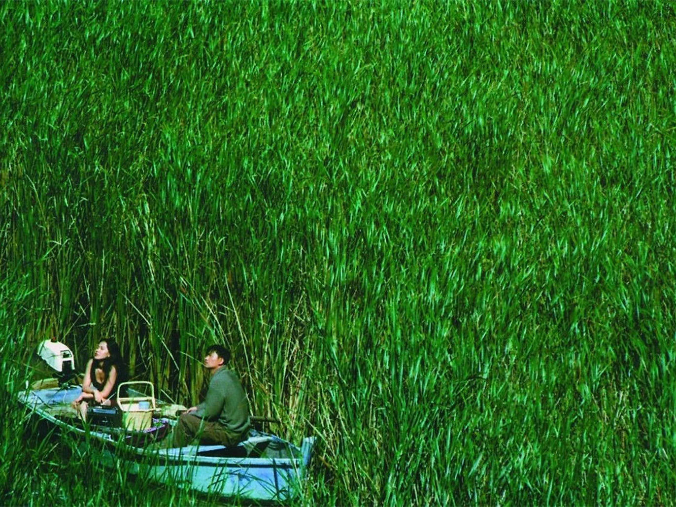 All Wong Kar-wai’s Hong Kong movies ranked