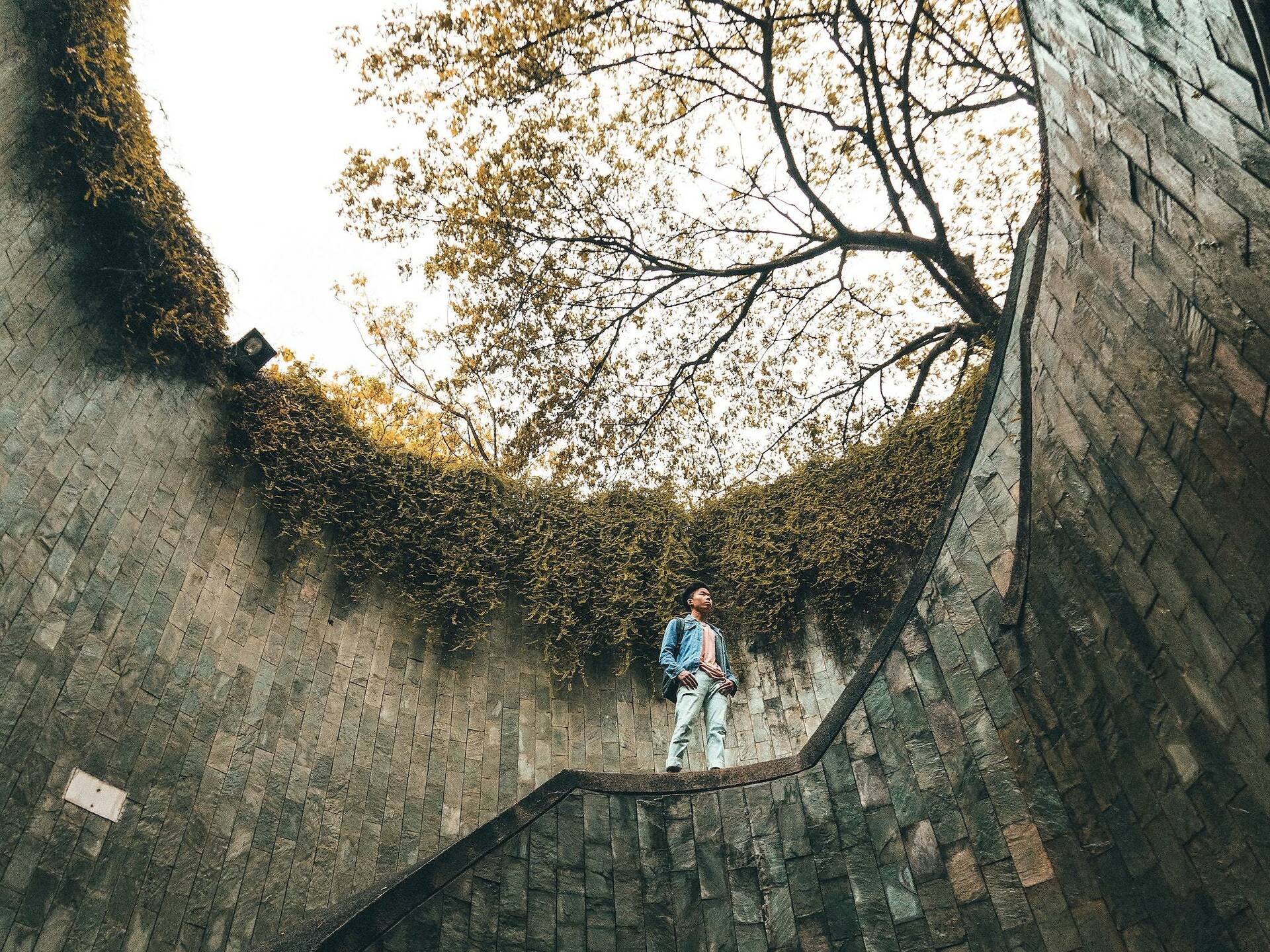 The Ultimate Guide To Fort Canning Park