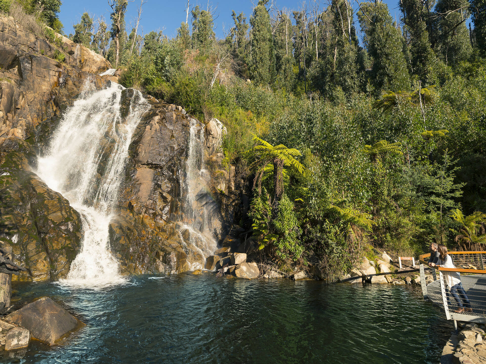 Day Hikes from Melbourne: 12 Walking Trails in Victoria