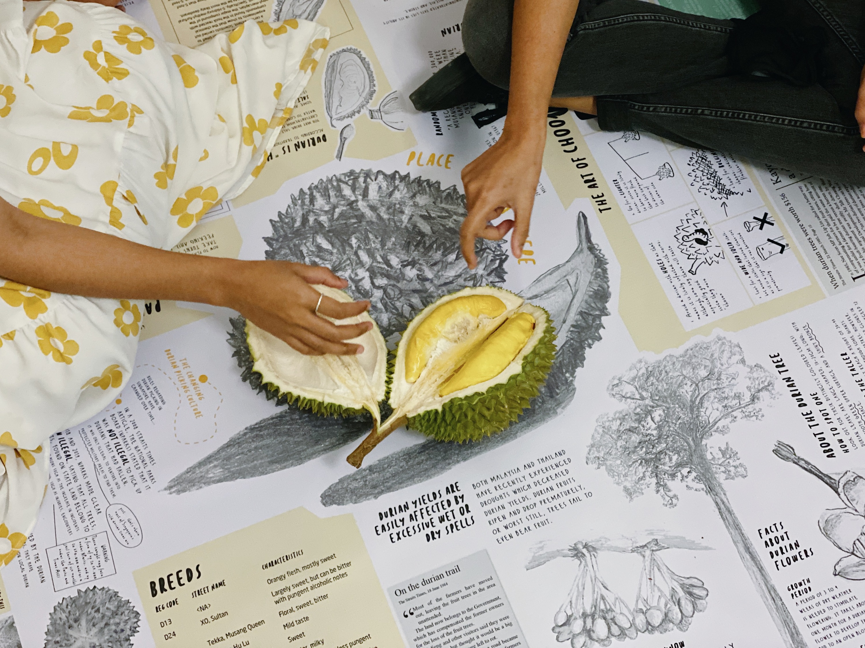 Waiting For Durian: An interactive picnic that reconnects people with ...