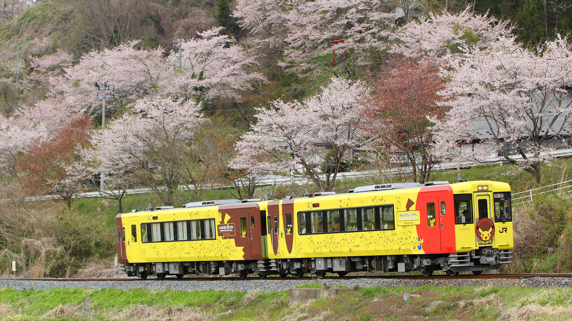 The Pokémon lover’s guide to Tokyo | Time Out Tokyo