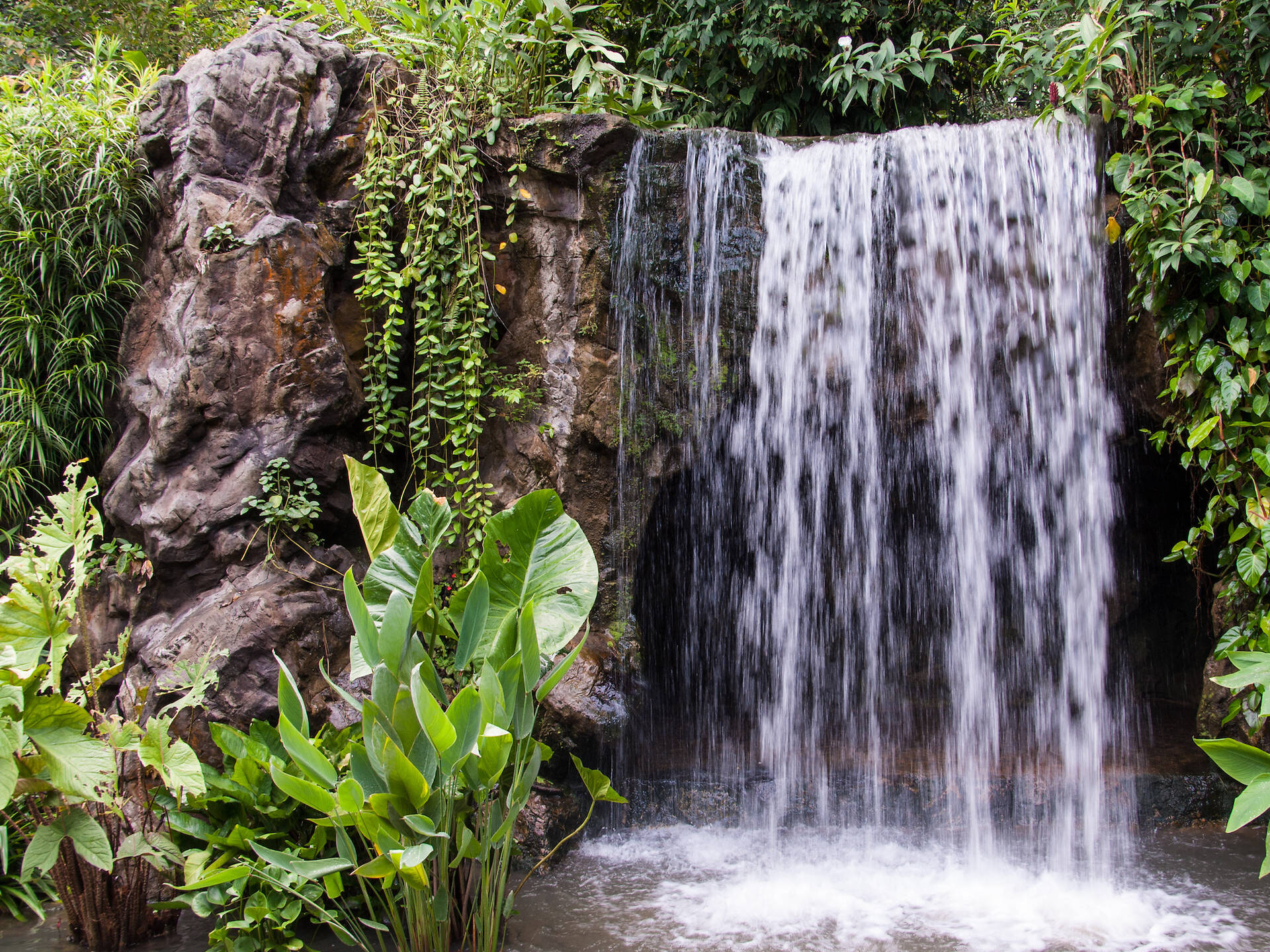 5 Best Waterfalls In Singapore