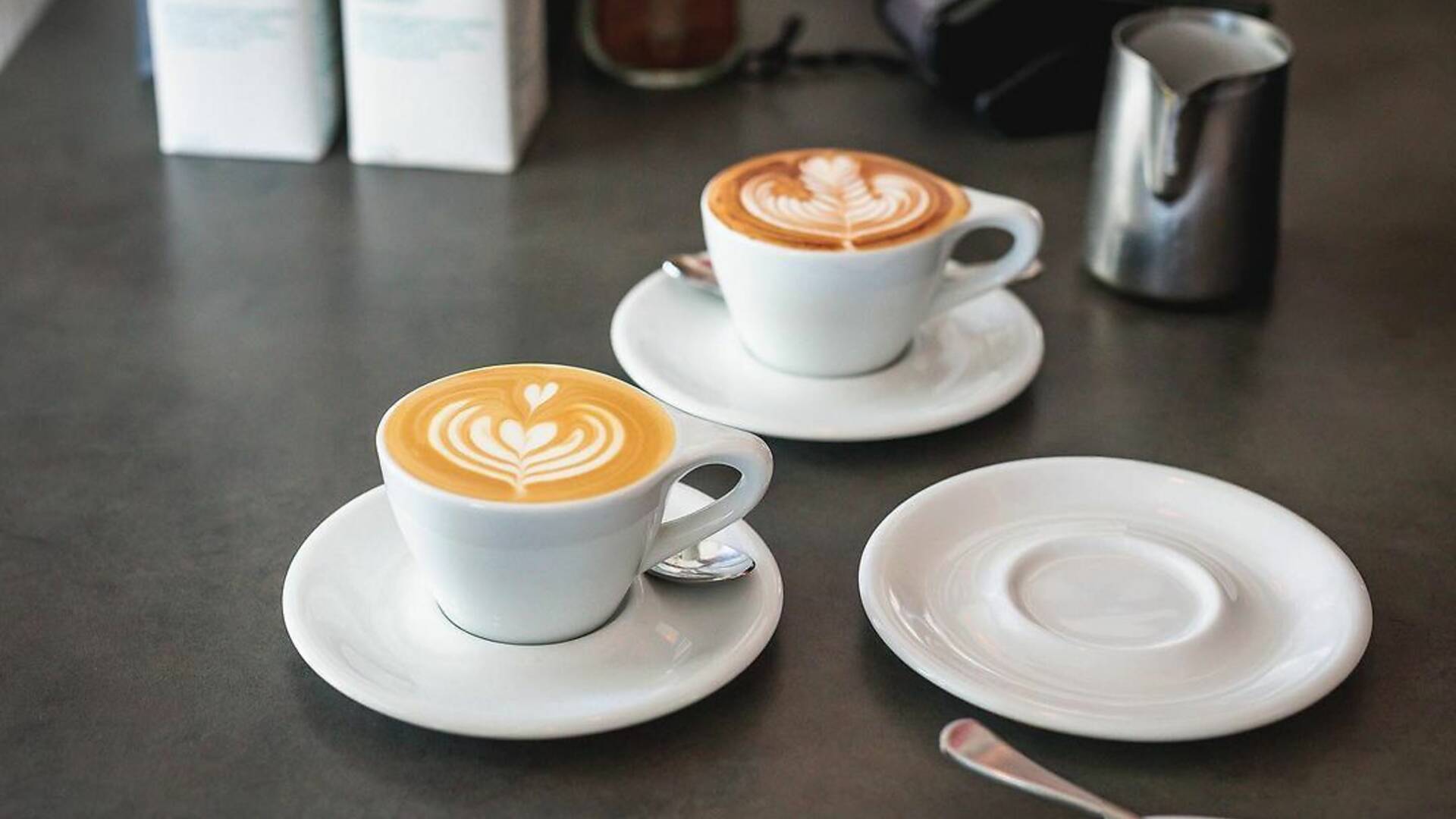 Williamstown area guide | A local's guide to Williamstown