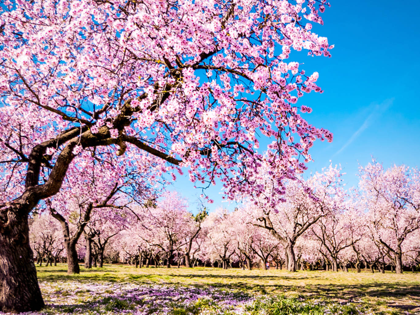 27 Most Brilliantly Colourful Places in the World