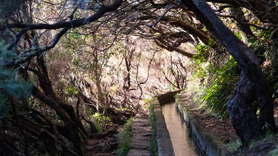 Ten walking trails in Madeira that will take your breath away