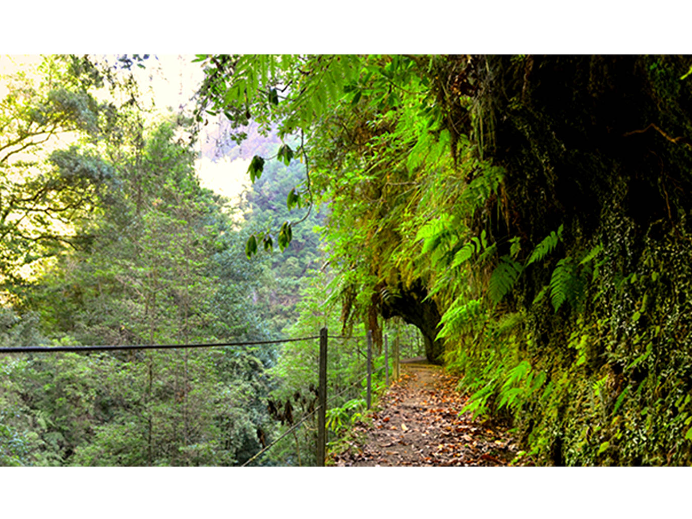 Ten walking trails in Madeira that will take your breath away