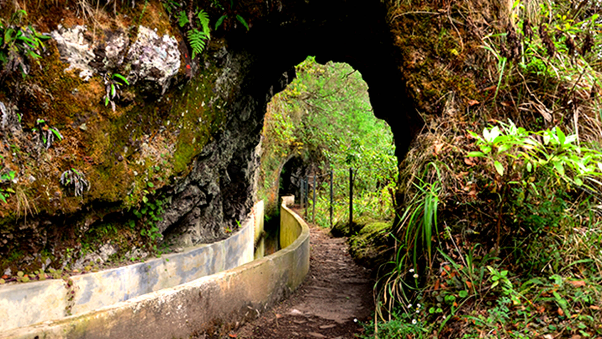 Ten walking trails in Madeira that will take your breath away