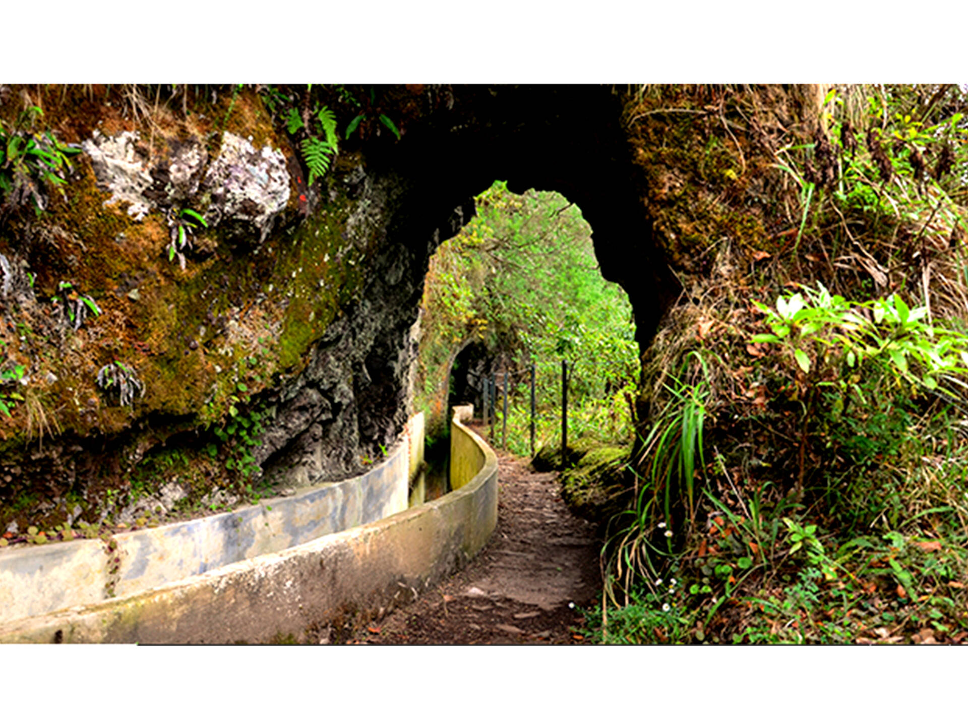 Ten walking trails in Madeira that will take your breath away