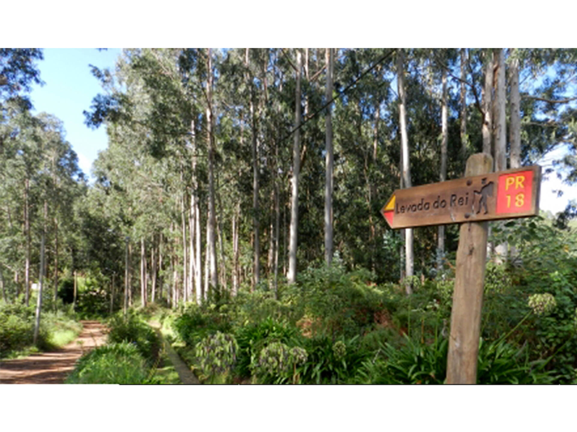 Ten walking trails in Madeira that will take your breath away