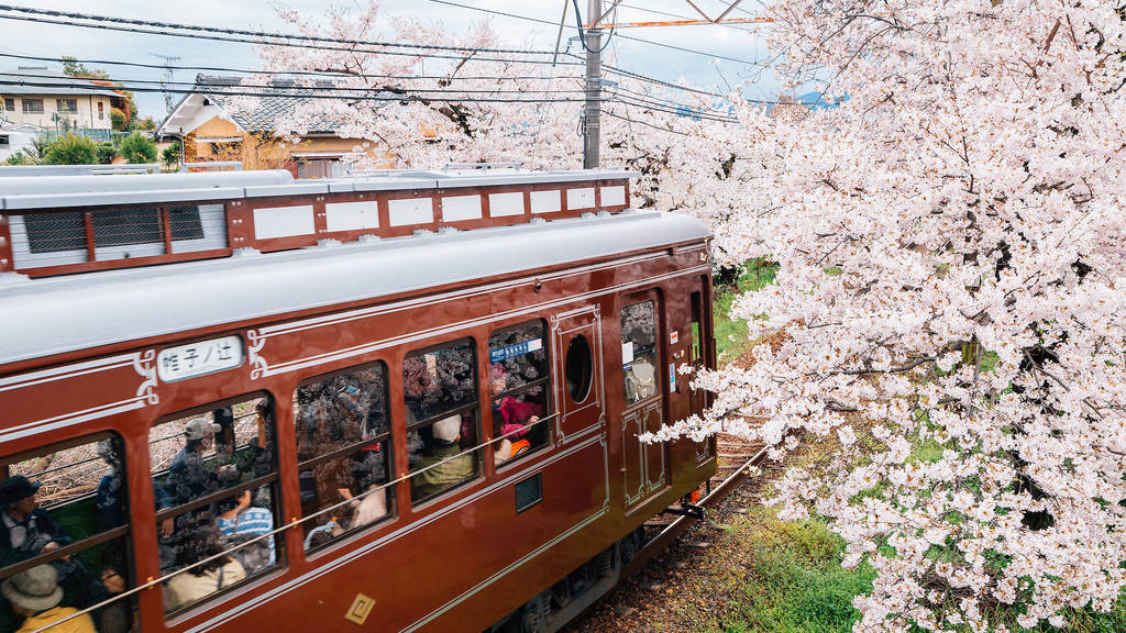 Explore Japan's top cities on these 10 cool old-school trams