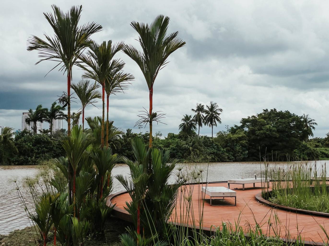 The Guide to Kranji Marshes in Singapore