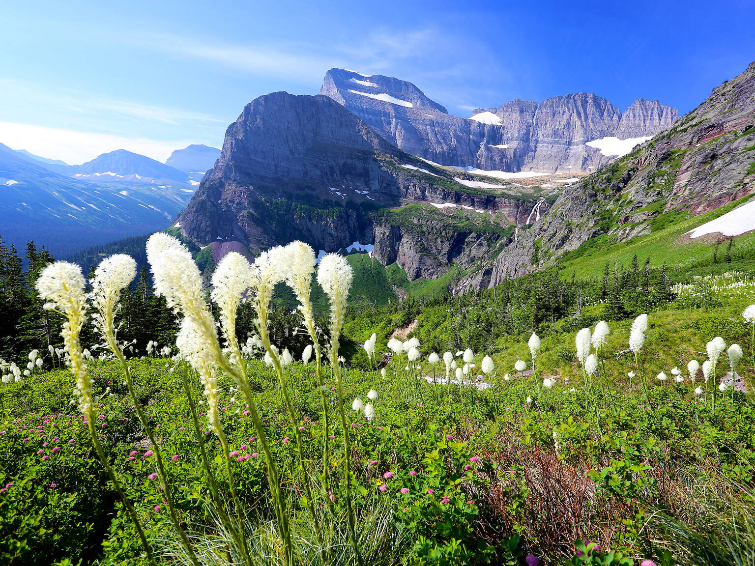 13 Best Places To See Wildflowers in the U.S.