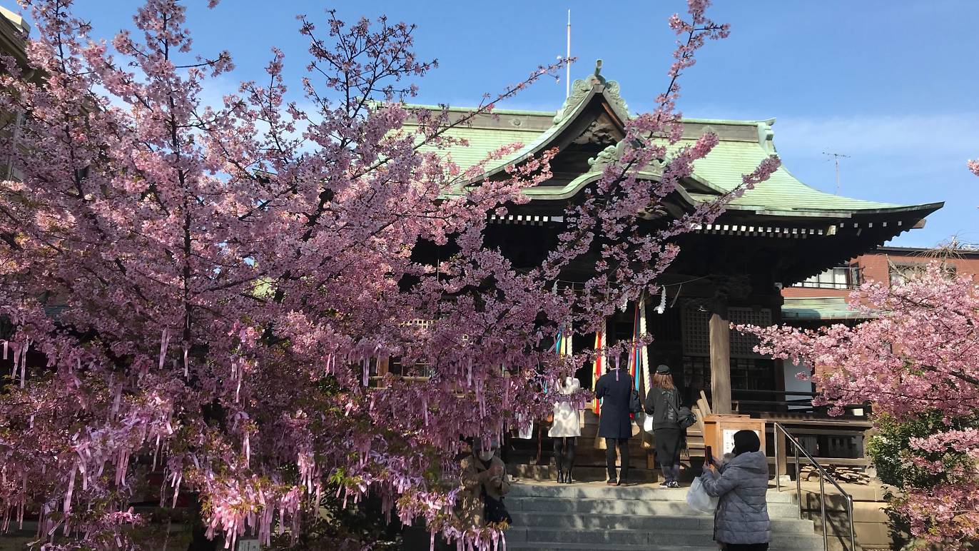 Sakura Jingu Shrine | Attractions in Sakura-Shinmachi, Tokyo