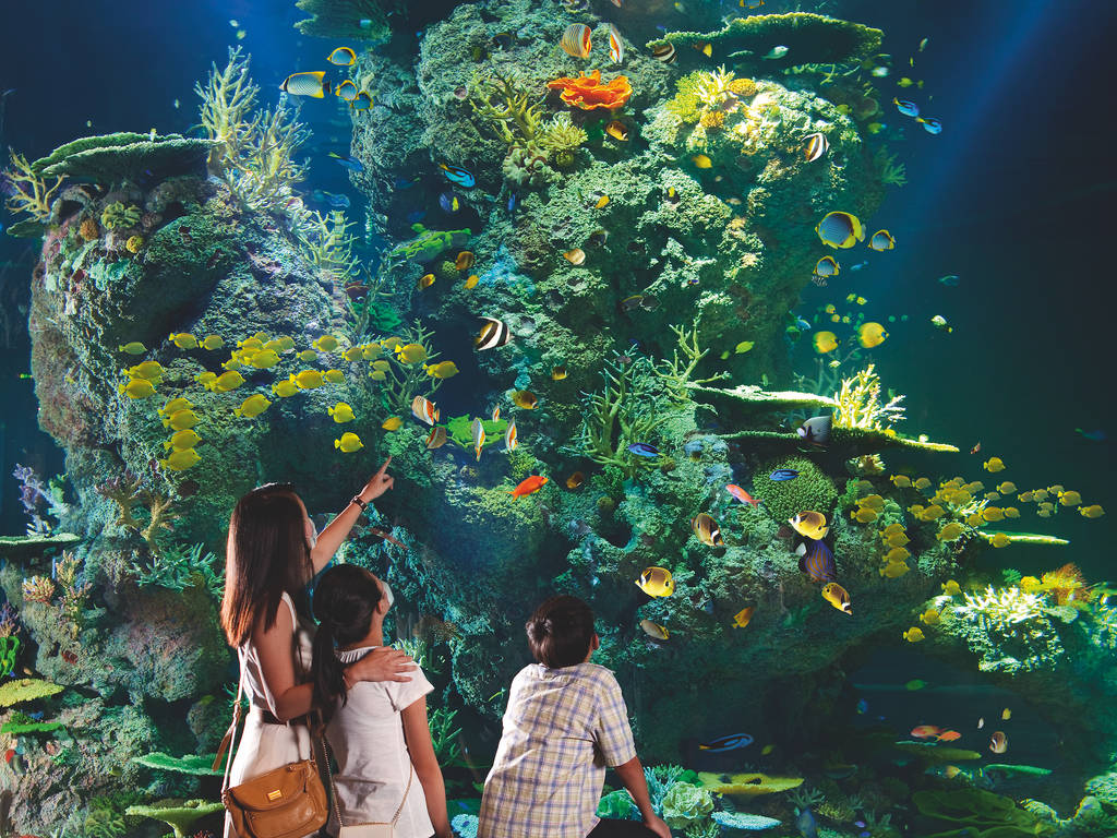 SEA Aquarium at Resorts World Sentosa | Things to do in Sentosa, Singapore