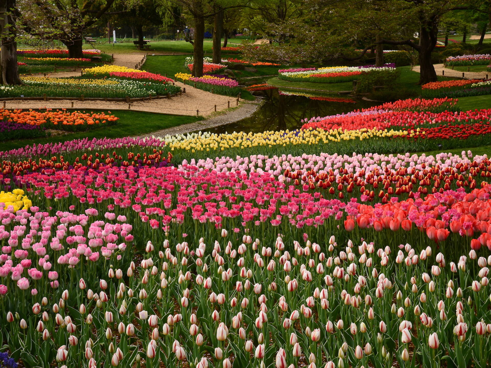 9 best parks and grand green spaces to enjoy in Tokyo