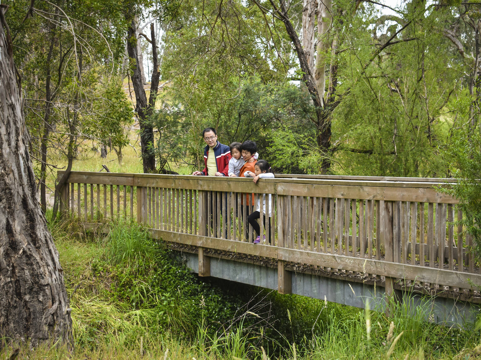 Templestowe area guide | A local's guide to Templestowe
